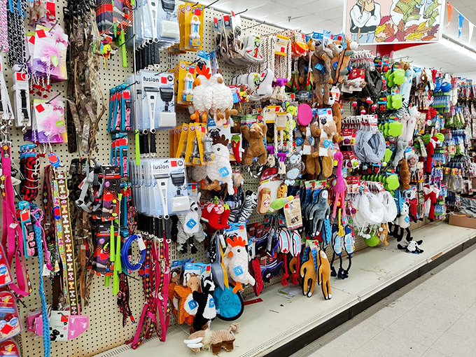 A pet paradise where Fido's toys cost less than your morning latte, and every aisle promises new ways to spoil your furry companions.
