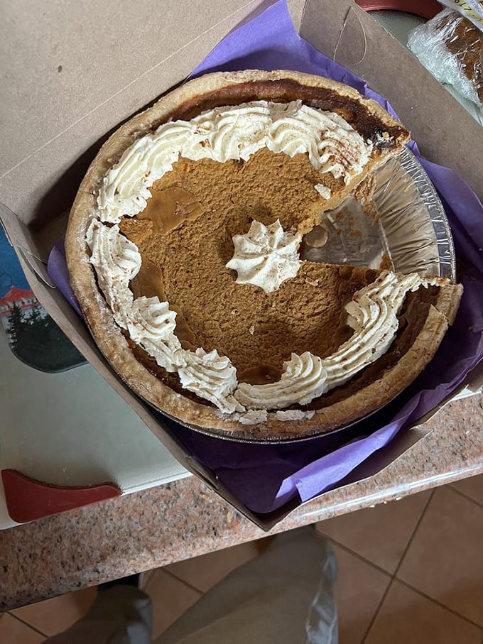 Someone took a slice of pumpkin pie and now I feel personally attacked. The whipped cream swirls are practically begging for a fork.