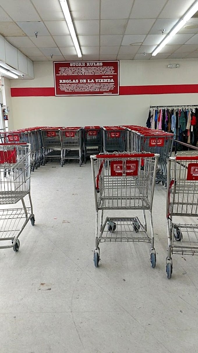 The cart corral &ndash; your chariot awaits for this quest through aisles of possibility and potential.