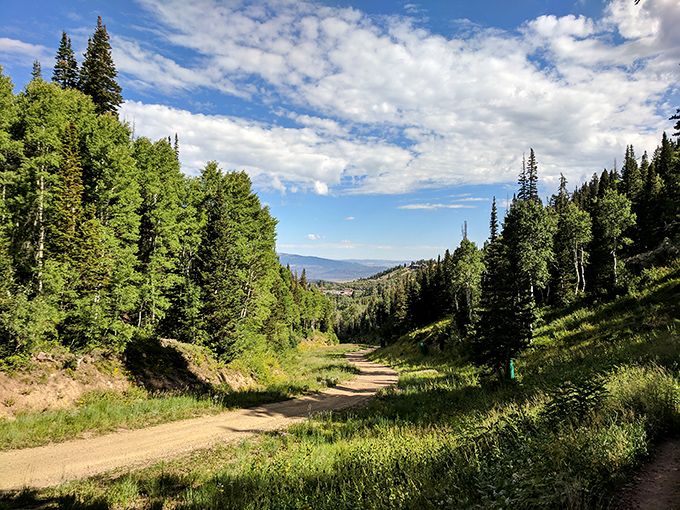 This rustic wooden bridge crosses more than just a stream—it's a portal between Park City's manicured resorts and its wild backcountry.
