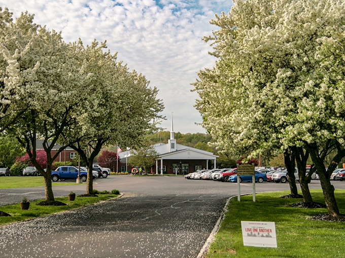 Spring blossoms frame this church like nature's own stained glass, creating a postcard-perfect scene that would make even non-believers stop and appreciate.