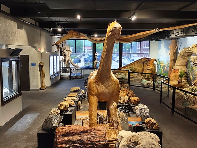 Prehistoric creatures greet modern visitors at the Ste. Genevieve Museum Learning Center, where ancient history meets small-town museum charm.