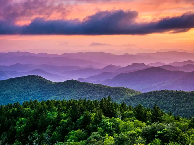 The Blue Ridge Mountains unfold in waves of purple majesty, showcasing the breathtaking backdrop that cradles Brevard in natural splendor.