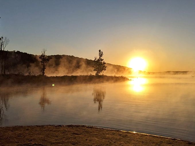 Misty mornings on the water create that magical golden hour when the world feels brand new and coffee tastes twice as good.