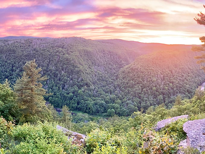 The Pennsylvania Grand Canyon glows at sunset, revealing why this natural wonder draws visitors from across the state to Wellsboro's doorstep.