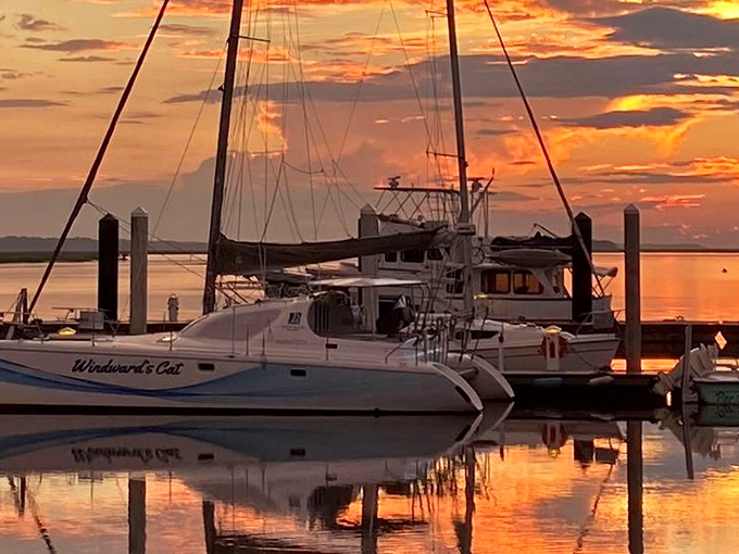 Sunset transforms the marina into a painting of oranges and purples, while boats stand silhouetted like punctuation marks on a watercolor horizon.