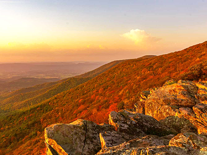 Fall in the Shenandoah paints the mountainsides with colors so vivid, you'll swear Mother Nature hired a Hollywood set designer.