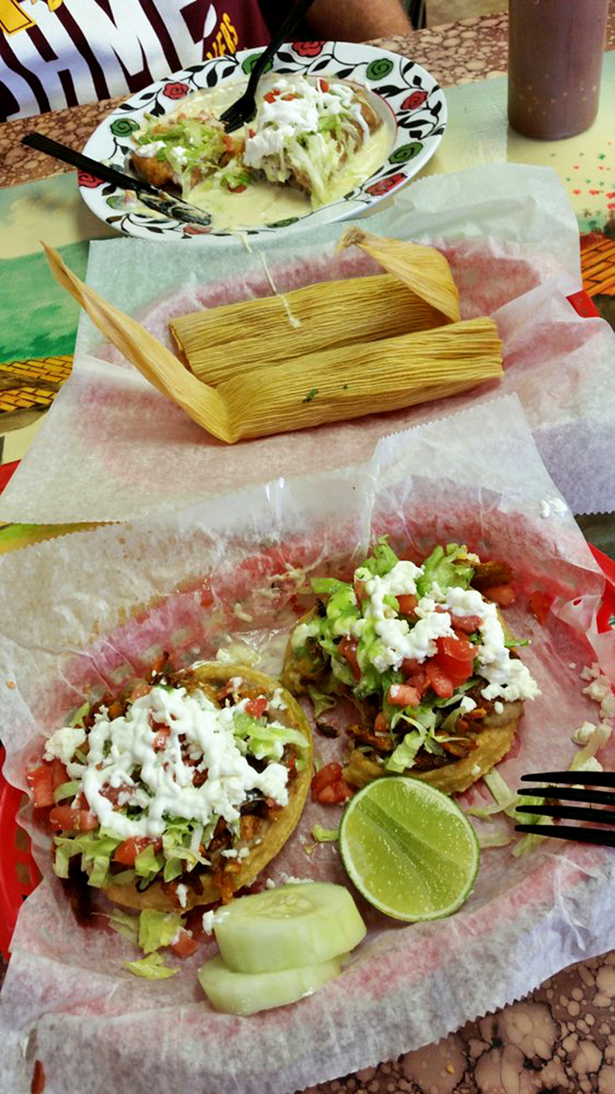 Tamales and chimichanga sharing a table like old friends. That plate in the background is having what I'm having, and it looks mighty pleased about it.