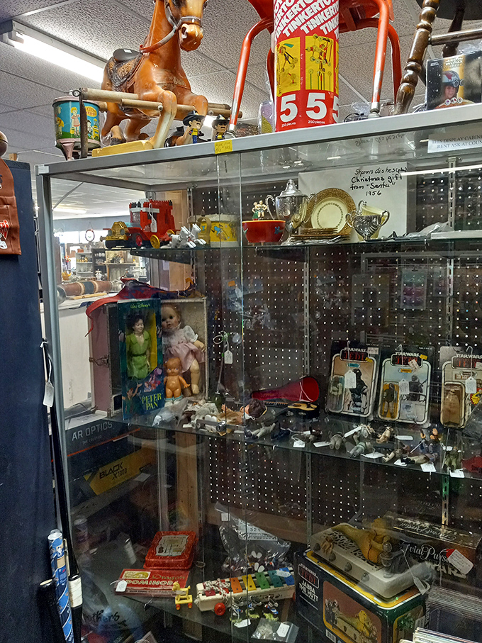 This display case is childhood nostalgia under glass&mdash;where vintage dolls and preserved insects create the world's most fascinating (and slightly unsettling) diorama.