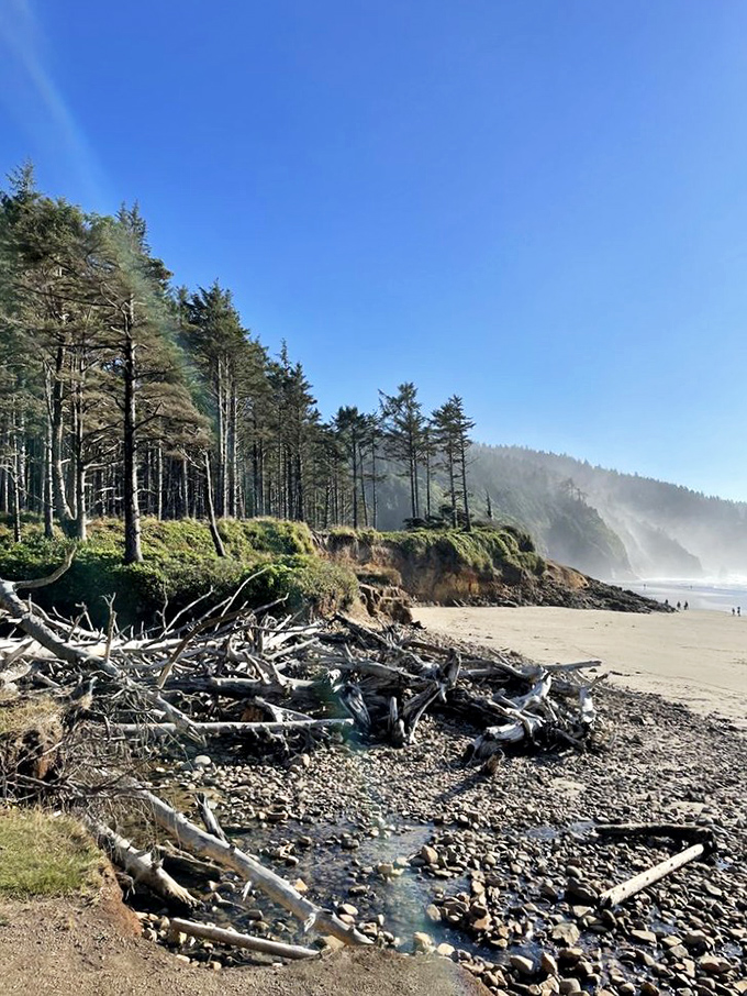 Driftwood sculptures courtesy of the Pacific's artistic temperament. Nature's gallery installation changes daily, no admission required.