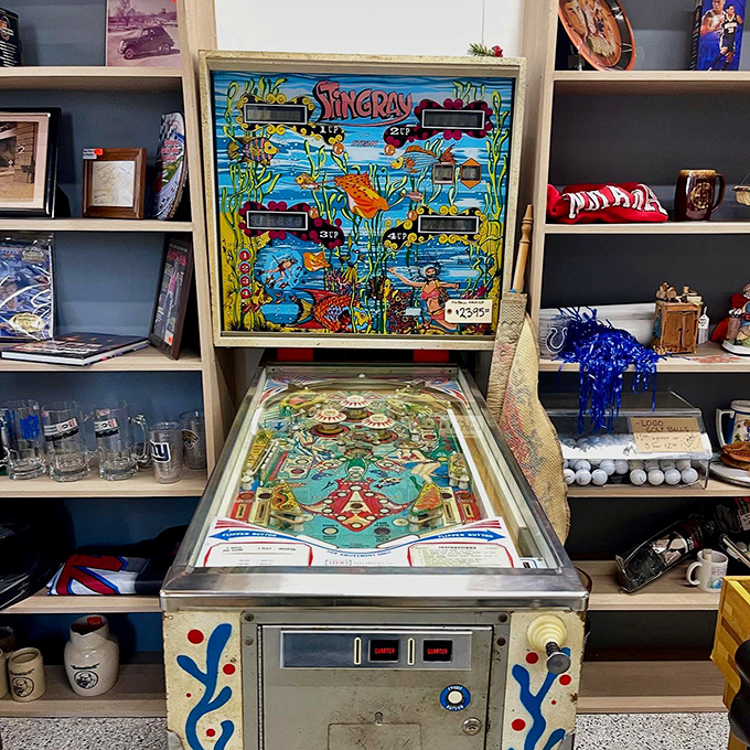 The vintage Stingray pinball machine stands ready to transport you back to 1977, when high scores were measured in pride, not pixels.