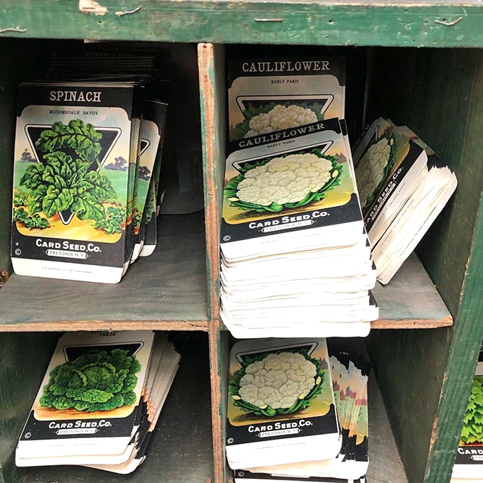 Vintage seed packets line up like soldiers of springtimes past&mdash;when cauliflower was an occasion and spinach promised Popeye-worthy strength.