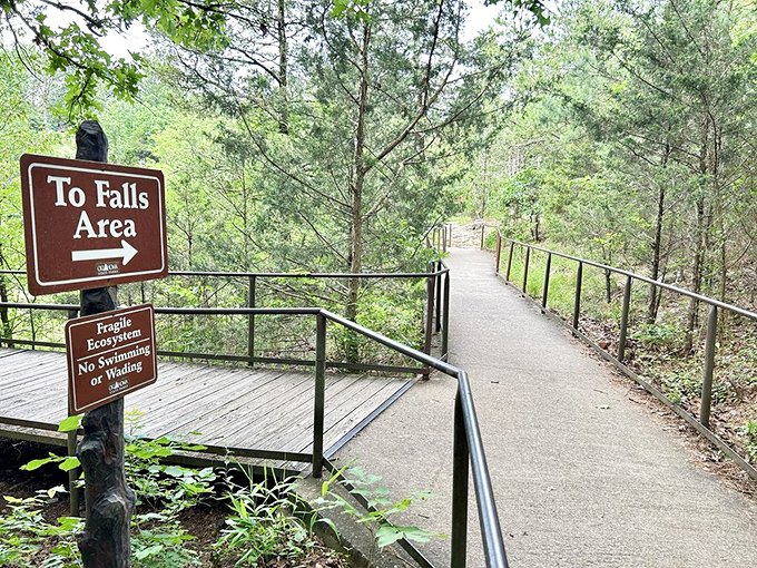 Tree-lined paradise. The park's walkways meander through a verdant canopy that transforms sunlight into a dappled light show worthy of a fantasy film.