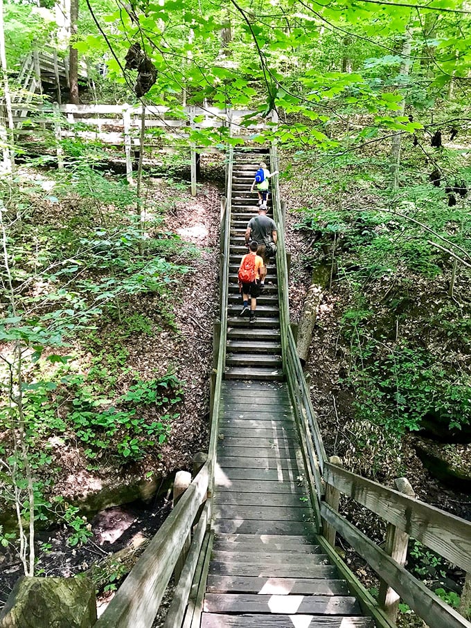 Stairway to... quads of steel! These wooden steps challenge hikers while protecting the delicate ecosystem. What goes down must come up&mdash;your fitness tracker will be so impressed.