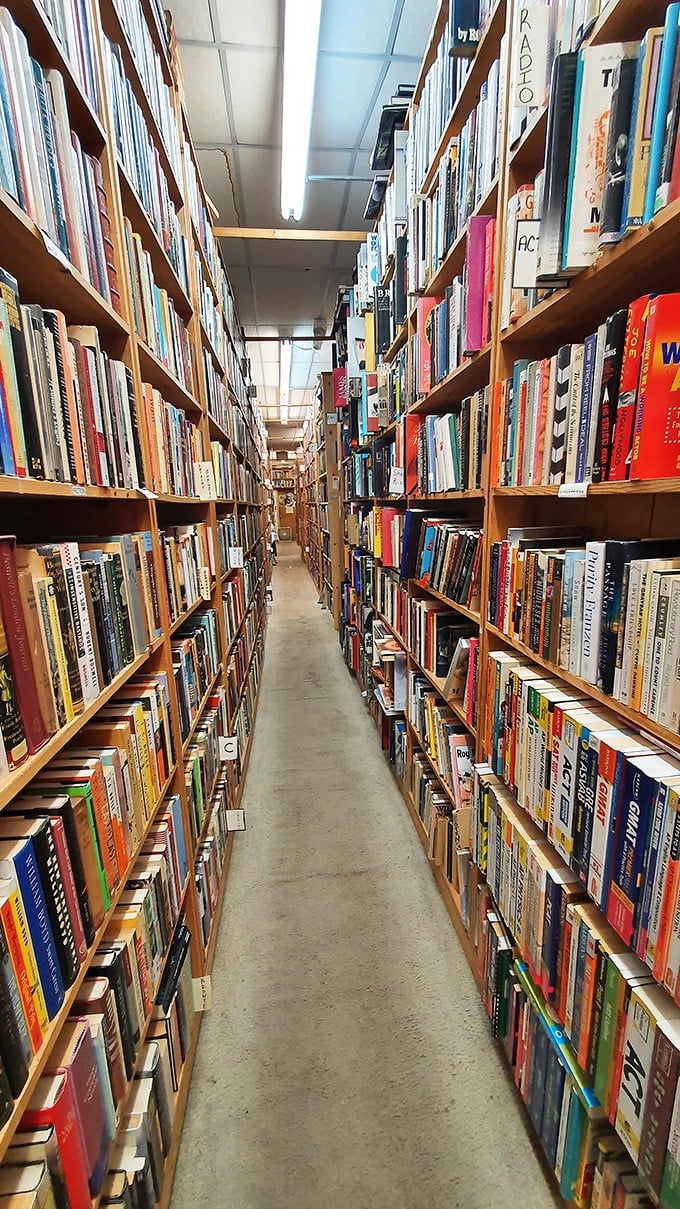 The vanishing point of this literary labyrinth suggests infinity&mdash;a physical manifestation of Jorge Luis Borges' Library of Babel, but with better lighting.