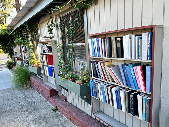 Nature and literature in perfect harmony—vines creep alongside knowledge as outdoor shelves transform a simple walkway into a bibliophile's dream.