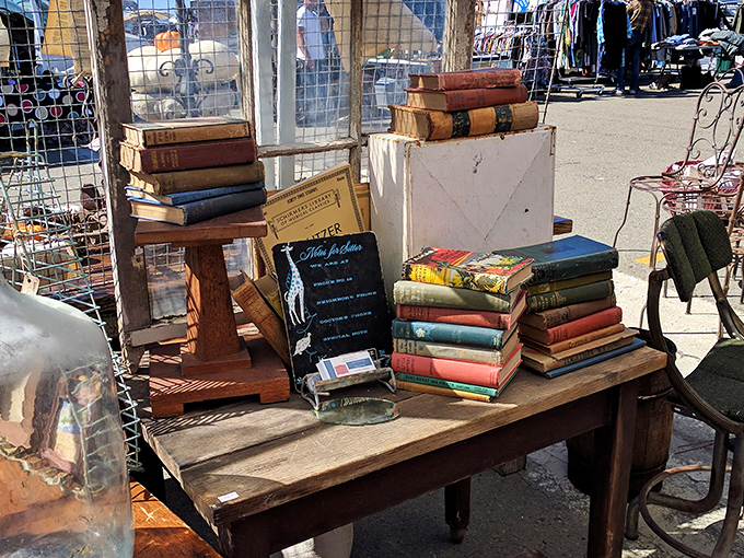 Literary treasures stacked with care&mdash;where else can you find vintage hardcovers that smell like history and grandmother's attic in equal measure?