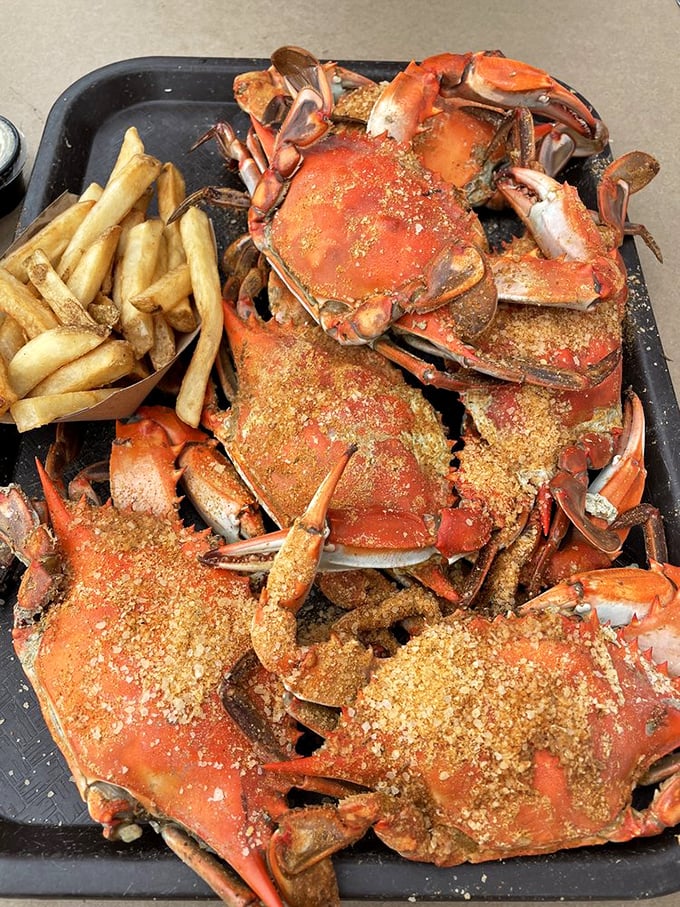 Maryland blue crabs in their full glory &ndash; seasoned, steamed, and ready for the picking. This is what Old Bay was born to do.