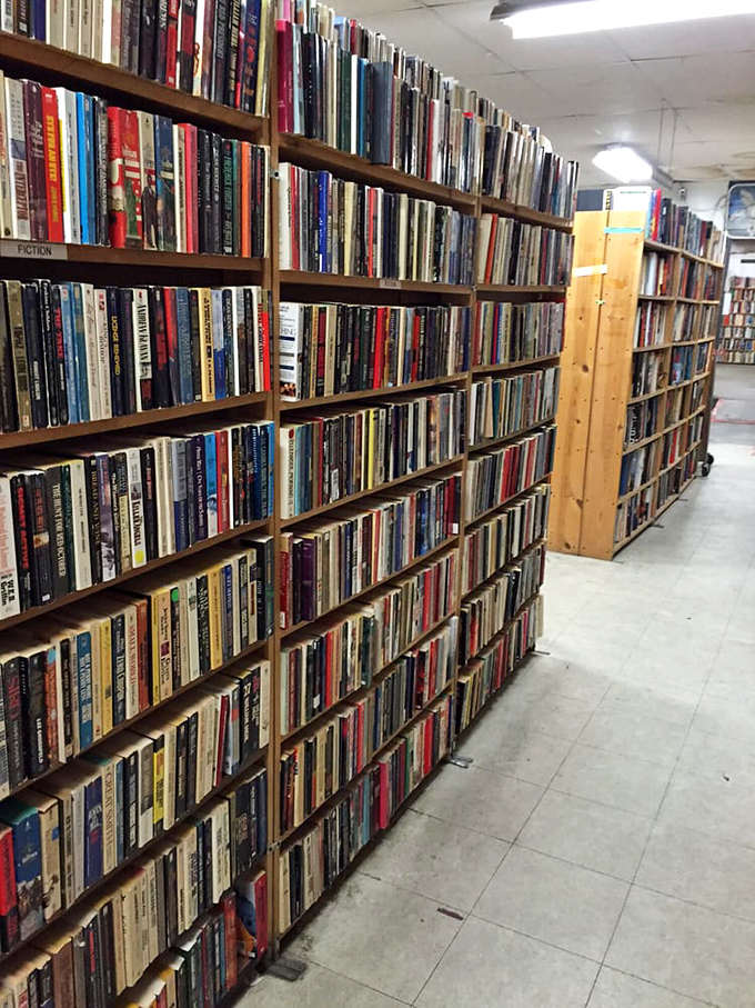 Spines of different colors create an accidental rainbow of knowledge. Each shelf holds someone's next favorite book, patiently waiting.