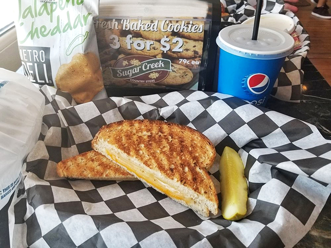 The humble grilled cheese, elevated to art form. That golden crust and melty interior is childhood nostalgia with grown-up execution.