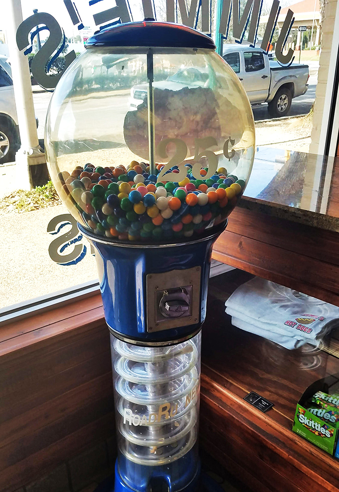 The vintage gumball machine stands sentinel by the window – a colorful reminder that some pleasures in life remain delightfully uncomplicated.