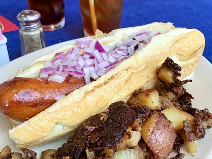 The hot dog arrives like a well-dressed celebrity, red onions scattered atop with the casual elegance of confetti at a parade. 