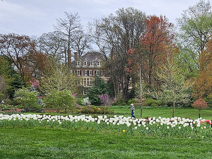 Elegant historic homes peek through the trees, serving as the perfect backdrop for this horticultural masterpiece in Baltimore's Guilford neighborhood.