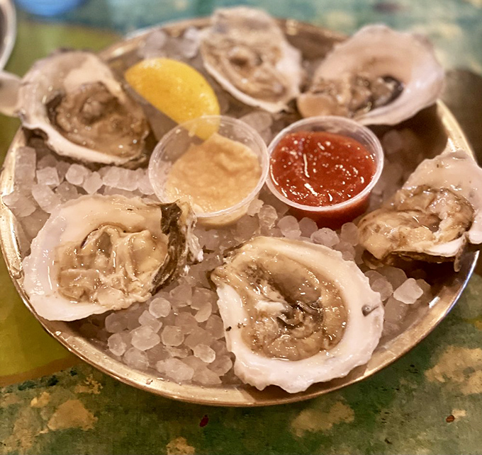Fresh oysters lounging on ice like celebrities at a spa retreat, waiting for their lemon squeeze and hot sauce paparazzi moment.