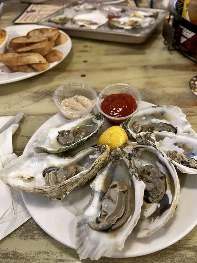 Ocean treasures on the half shell. These plump, glistening oysters aren't just seafood&mdash;they're time machines to the moment waves first kissed shore.