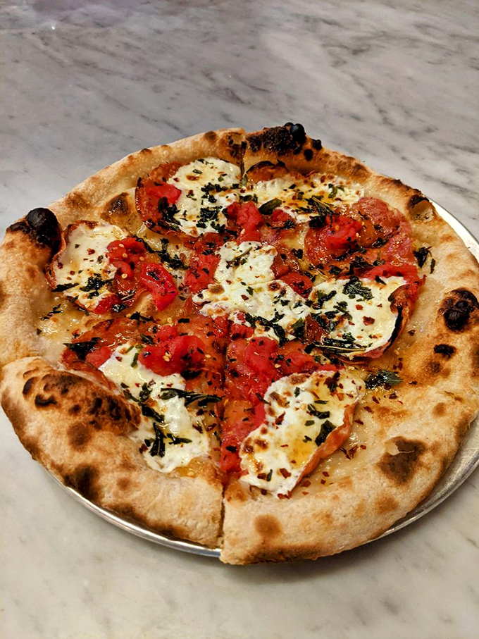 Pizza perfection achieved through fire and patience. The leopard-spotted crust cradles fresh mozzarella and basil like they were meant to be together all along.