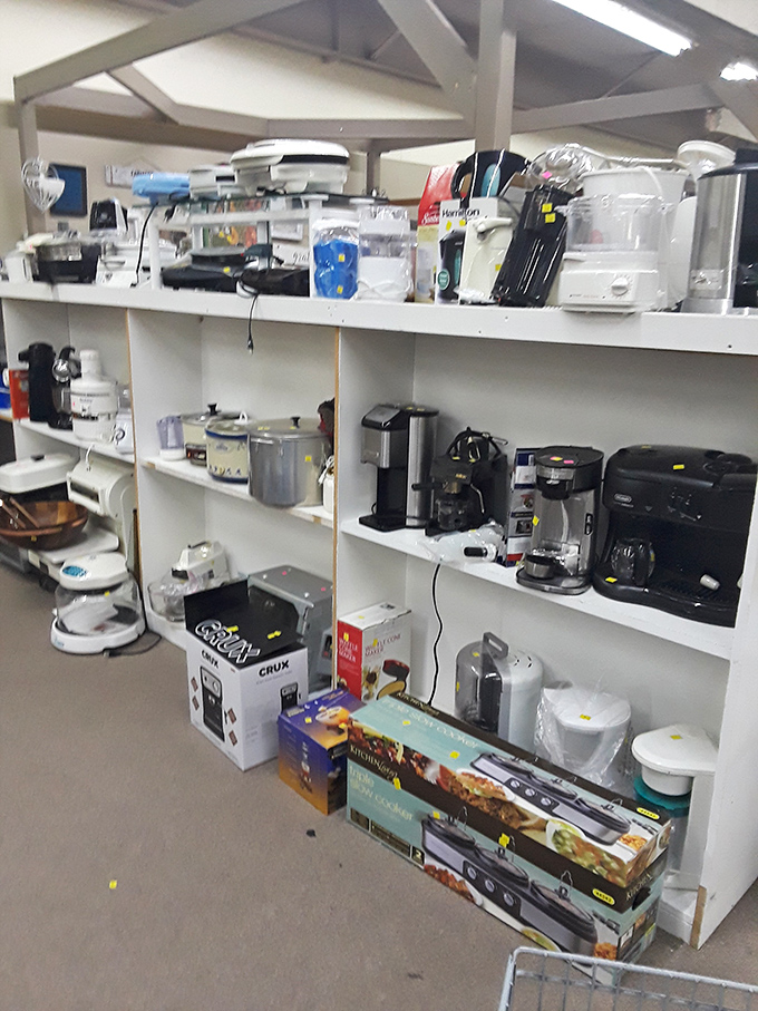 Coffee makers, blenders, and small appliances stand at attention, all tested and priced less than what you'd spend on dinner for two.