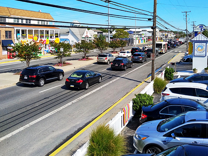 Coastal Highway: where beach traffic moves at the pace of vacation time—somehow both too slow and exactly right all at once.
