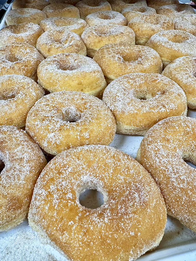 Sugar-dusted cake donuts lined up like edible soldiers, ready to sacrifice themselves to your coffee's dunking mission.
