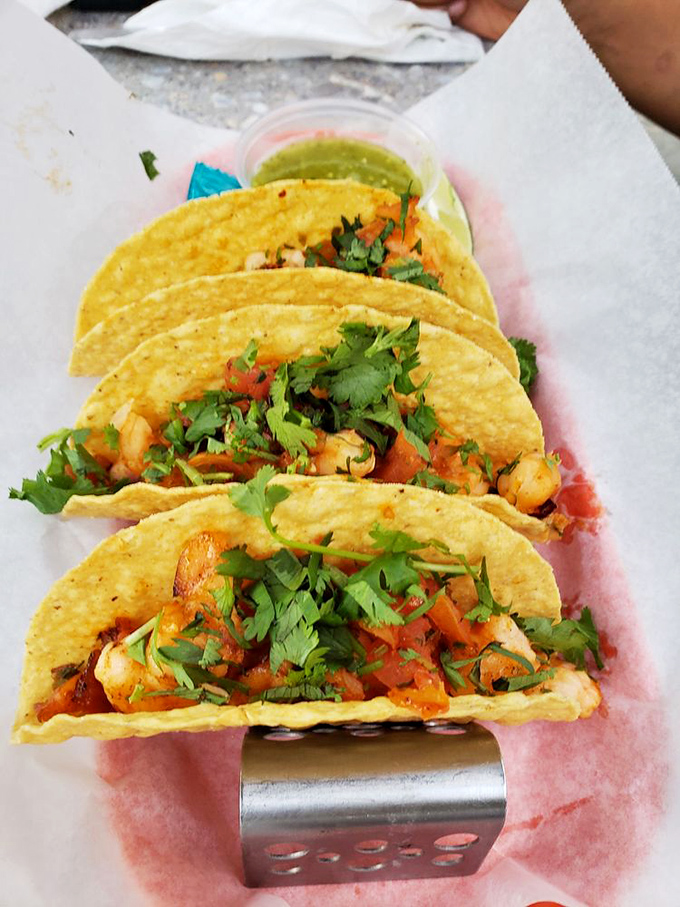 Tacos that don't need Instagram filters to look good. Fresh cilantro scattered like confetti celebrates what might be the perfect hand-held food ever invented.