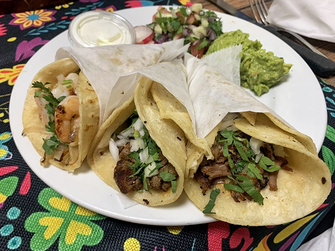 The burrito in its natural habitat &ndash; perfectly wrapped, stuffed with promise, and flanked by guacamole green enough to make your lawn jealous.