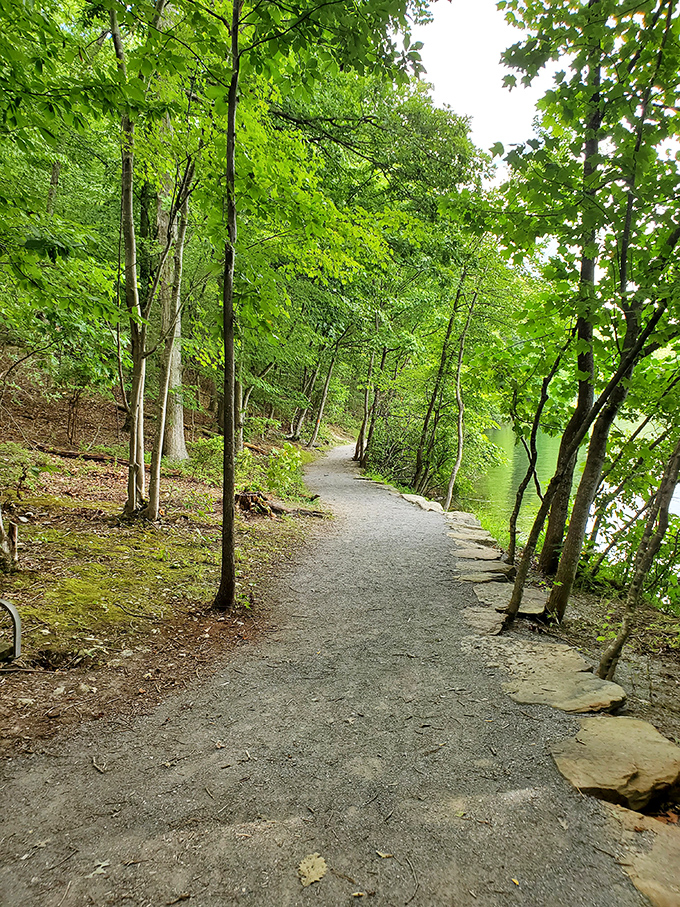 Not all who wander are lost, especially on this trail where every turn reveals another slice of Maryland's woodland magic.