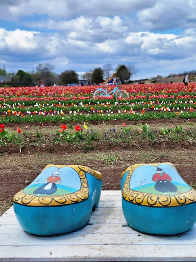 Oversized Dutch wooden shoes make for whimsical photo props. Imagine explaining to your podiatrist why you're considering these as everyday footwear.