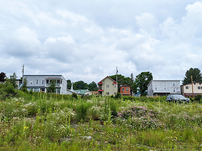 Davis' Bright Morning Inn – where the coffee smells like motivation and the breakfast tastes like a warm hug.