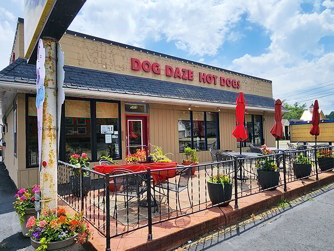 Dog Daze's flower-adorned patio proves that gourmet hot dogs deserve a beautiful setting &ndash; casual elegance for casual food.