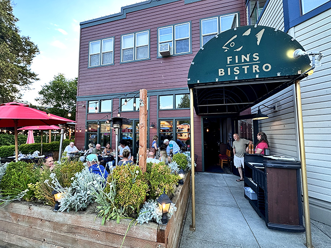Fins Bistro's charming patio invites you to linger over seafood treasures while the evening lights twinkle overhead.