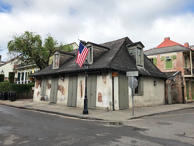 These elevated walkways through Jean Lafitte's wetlands aren't just paths - they're front-row tickets to nature's greatest show.