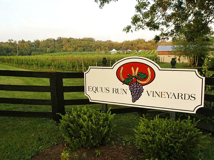 Run through endless horizons at this Equus run vineyards, wine and grapes in hand.