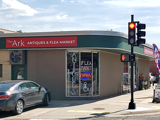 The Ark's distinctive curved roof houses a carefully curated collection that Noah himself would approve of&mdash;two of everything worth collecting.