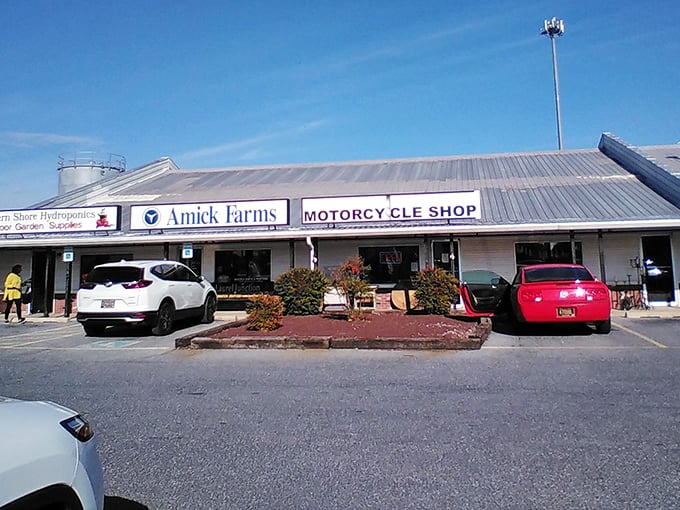 Amick Farms' unassuming exterior – the Clark Kent of shopping destinations, hiding superpowers of bargain hunting within.