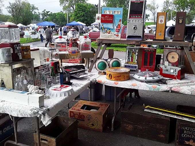 A garden of flowers creates a kaleidoscopic foreground to the serious business of antique hunting, like Mother Nature's welcome mat to yesteryear's treasures.