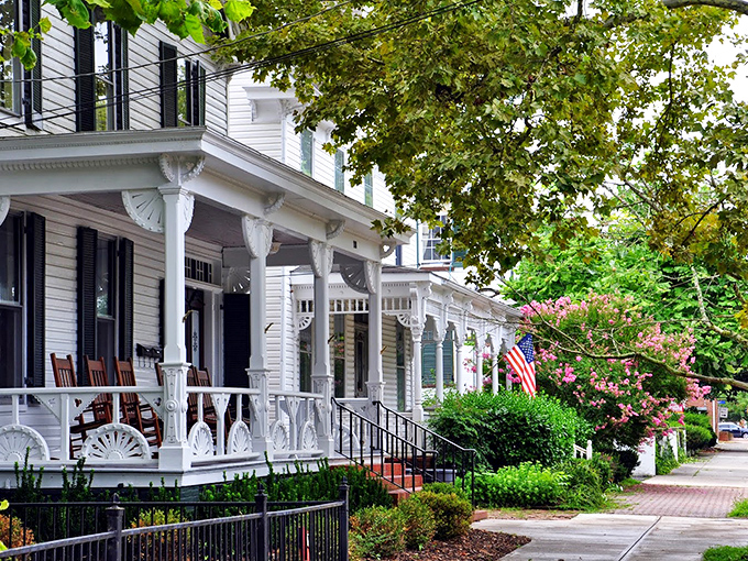 Cambridge: That massive tree has seen more history than a Ken Burns documentary and still looks fabulous for its age.