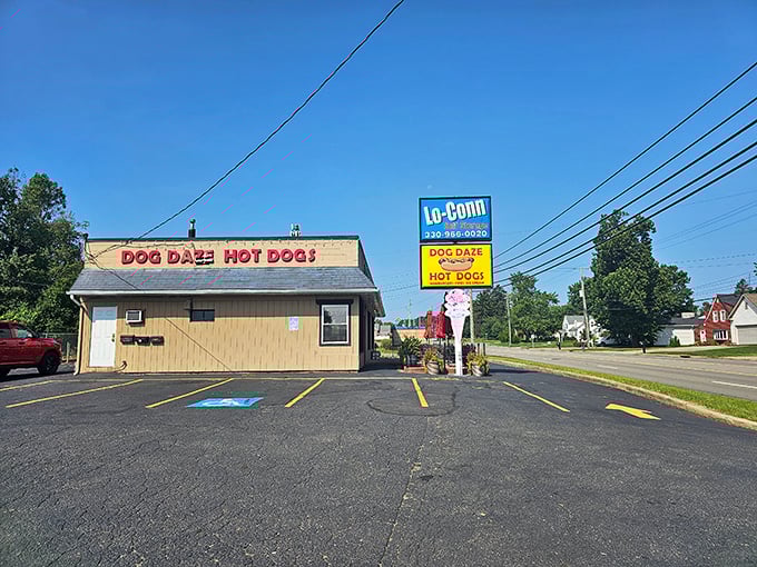 This unassuming roadside spot hides Canton's best-kept secret: hot dogs that could make a food critic weep with joy.