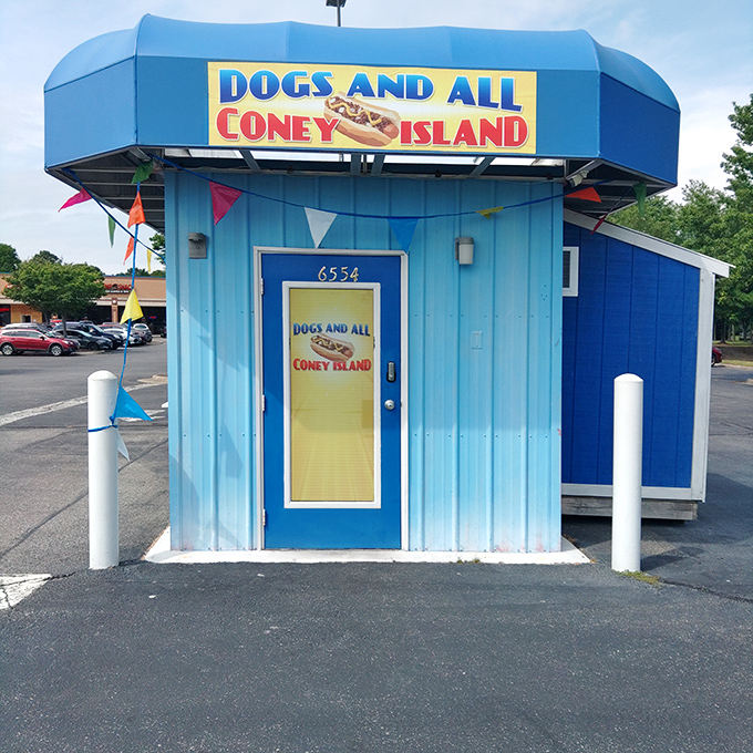 This tiny blue octagon might be the smallest hot dog stand in Virginia, but it's packing Coney Island-sized flavor!