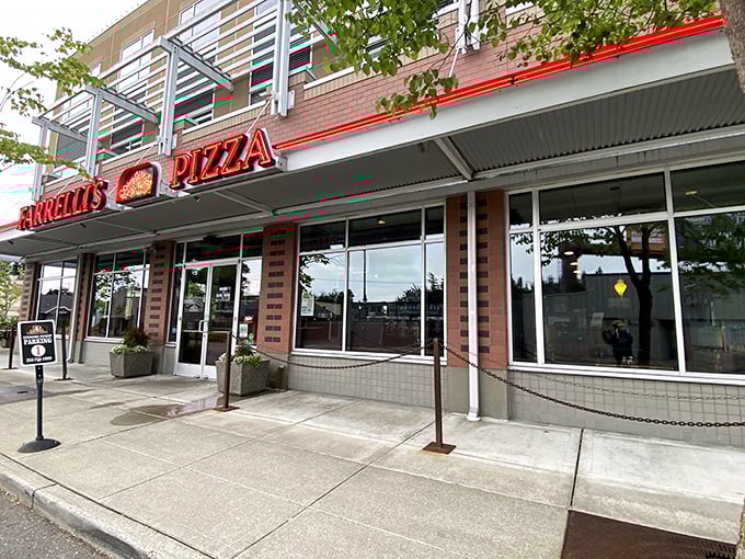 Plants hanging from the ceiling, pizza emerging from the oven. Farrelli's interior feels like your coolest friend's apartment.