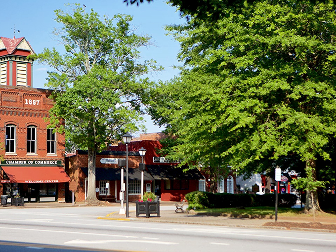 Historic homes stand like Southern belles at a garden party – Madison's streetscape is basically architectural sweet tea.